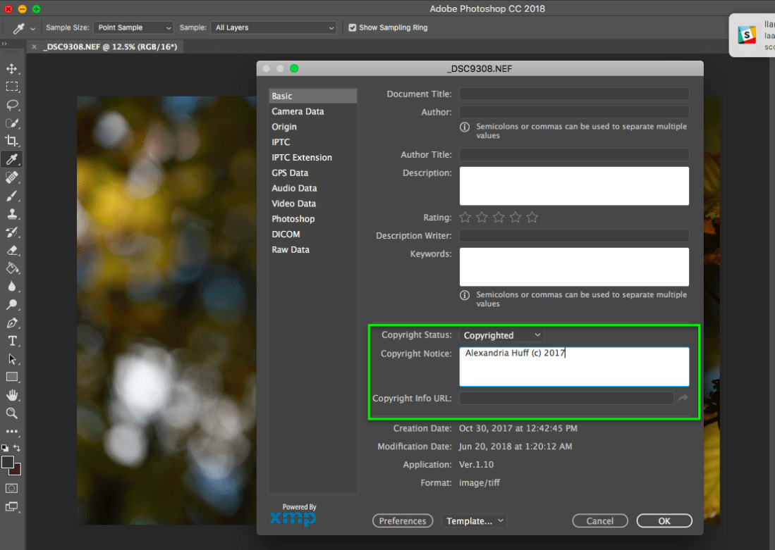 How to add copyright to photos – Lenstag Blog